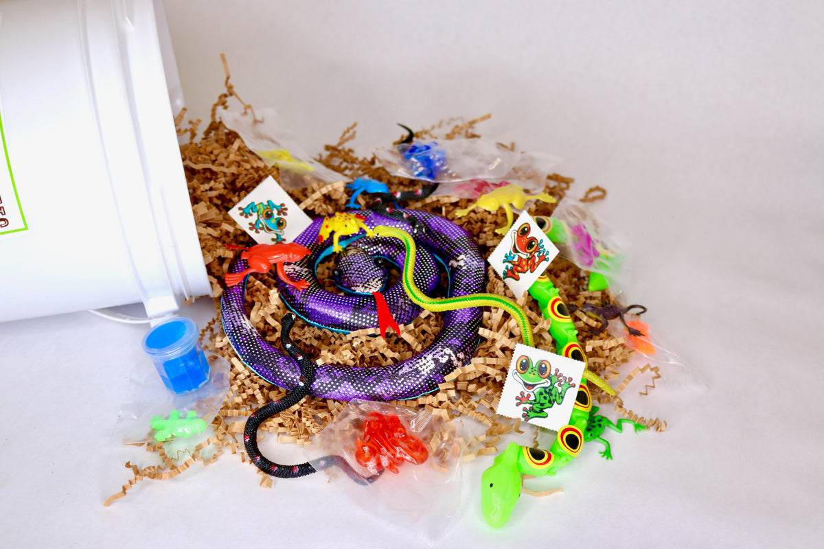 Reptile Riches Treasure Bucket Adventure – Treasure Buckets Company, LLC