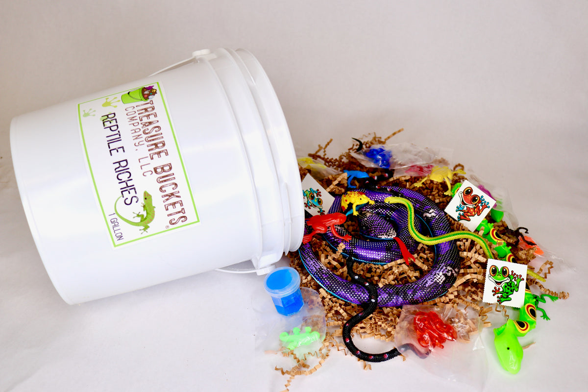 Reptile Riches Treasure Bucket Adventure – Treasure Buckets Company, LLC