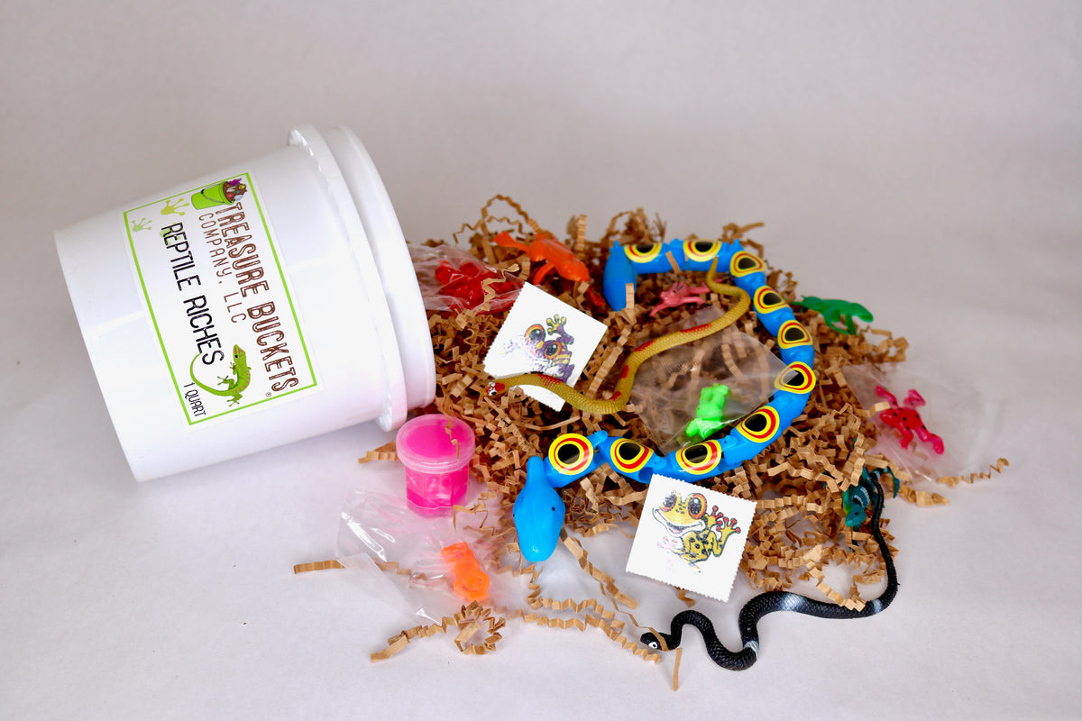 Reptile Riches Treasure Bucket Adventure – Treasure Buckets Company, LLC