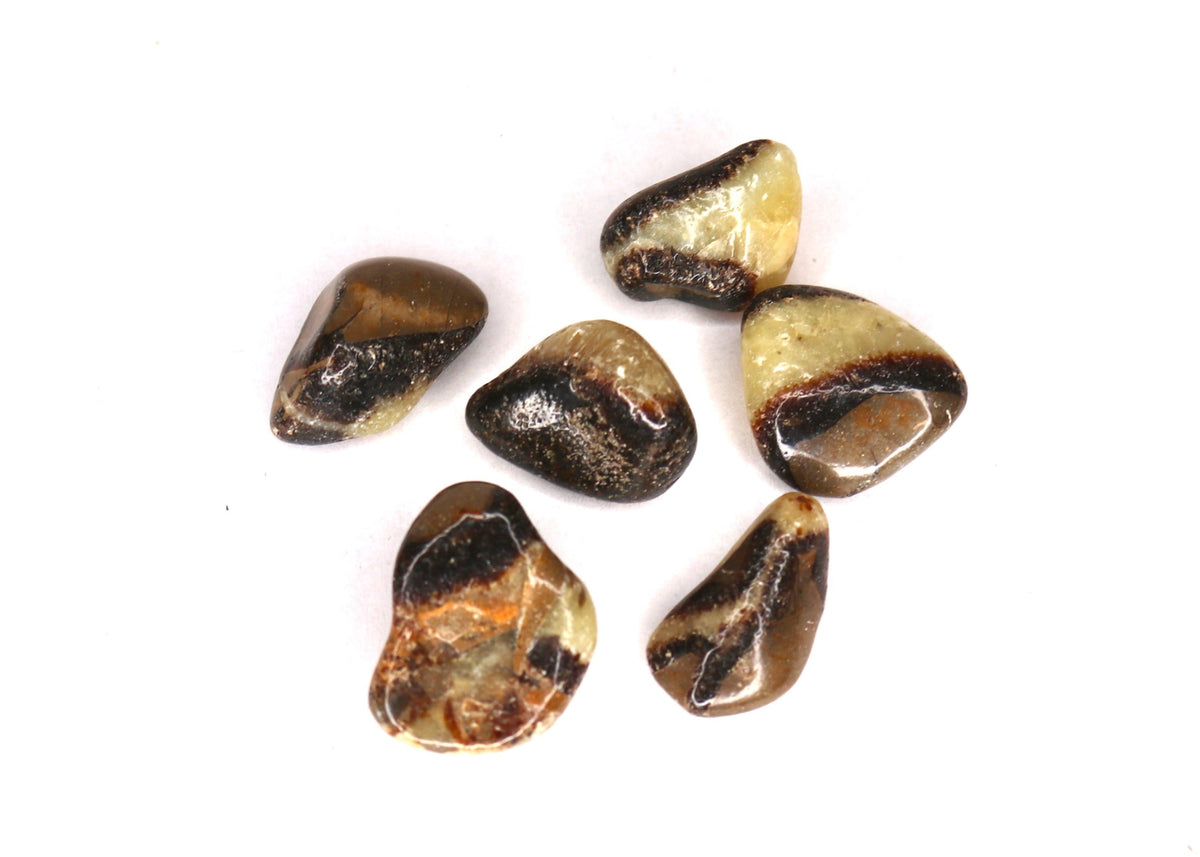 Septarian - Tumbled Gemstone – Treasure Buckets Company, LLC