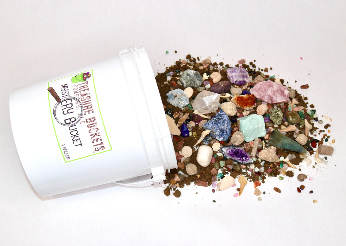 Mystery Bucket - Gallon (Gemstones, Fossils & More) – Treasure Buckets ...