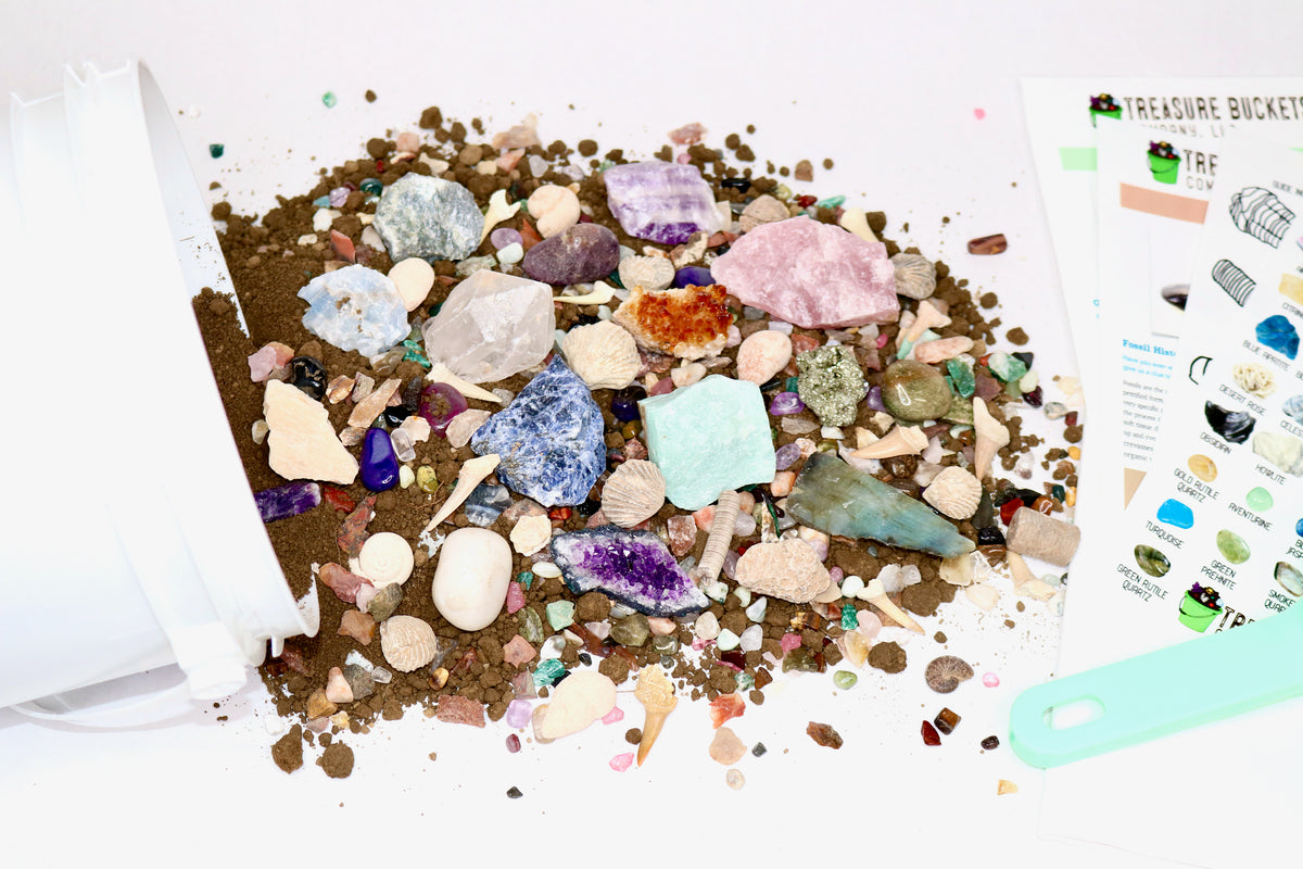 Mystery Bucket Kit - Gallon (Gemstones, Fossils & More) – Treasure ...
