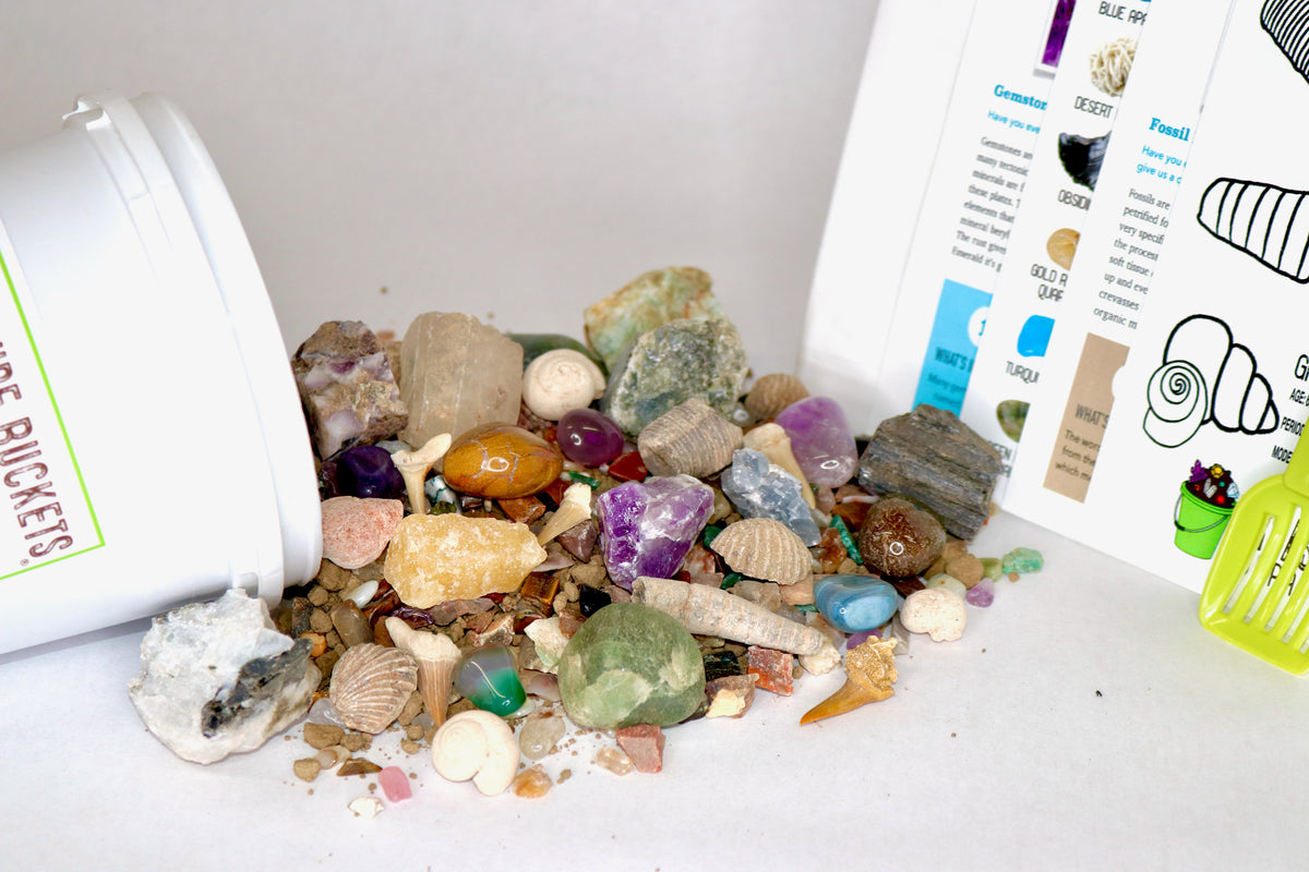 Mystery Bucket Kit - Quart (Gemstones, Fossils & More) – Treasure ...